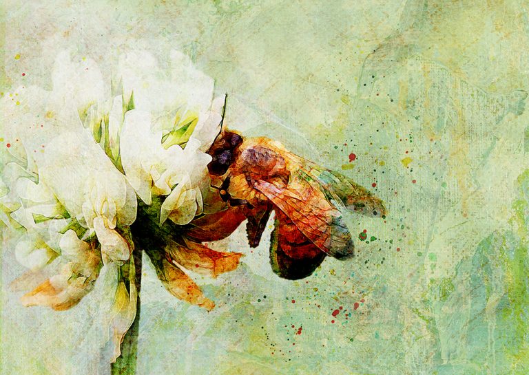 Bee – AP Global