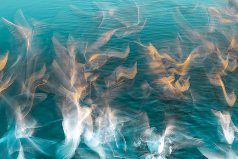 Landscape AK 024 – AP Global