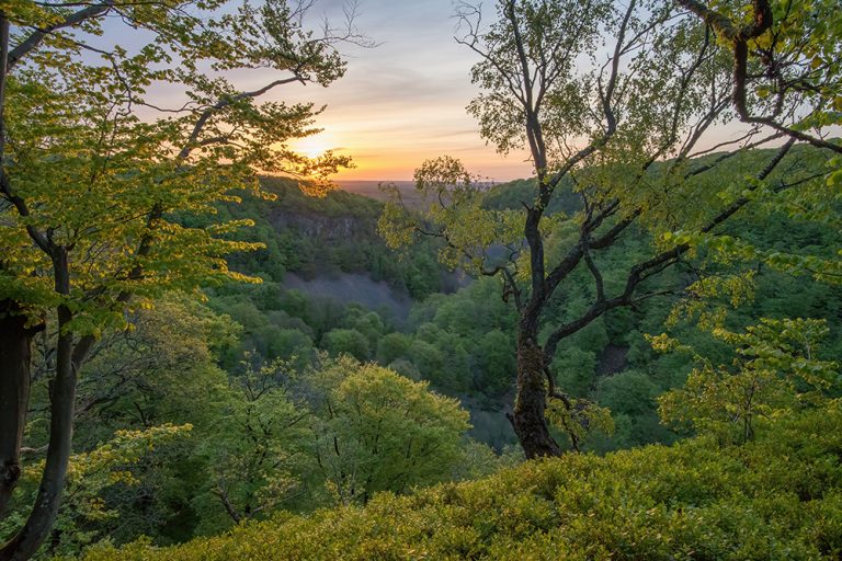 Scania spring – AP Global